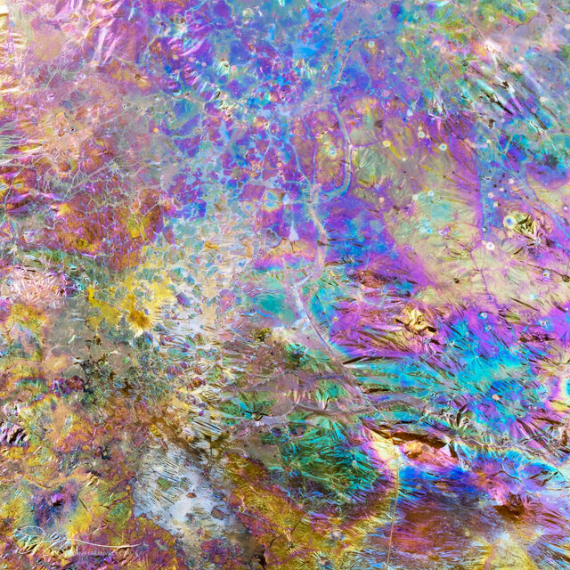 Desert Oils | Jennifer Renwick | Fine Art Nature Photography Prints