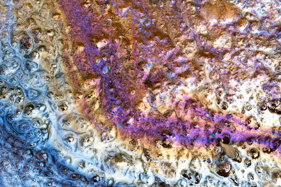 Desert Oils | Jennifer Renwick | Fine Art Nature Photography Prints